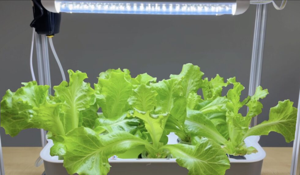 MICA Hydroponics System - MICA米佳