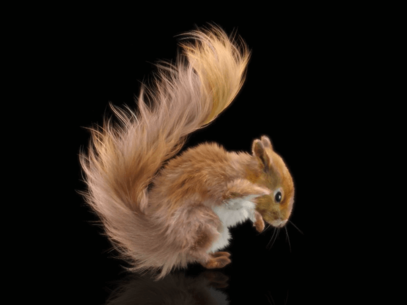 MICA Autonomous Guided UVC Sterilizer - Giving You The Freedom Of ...